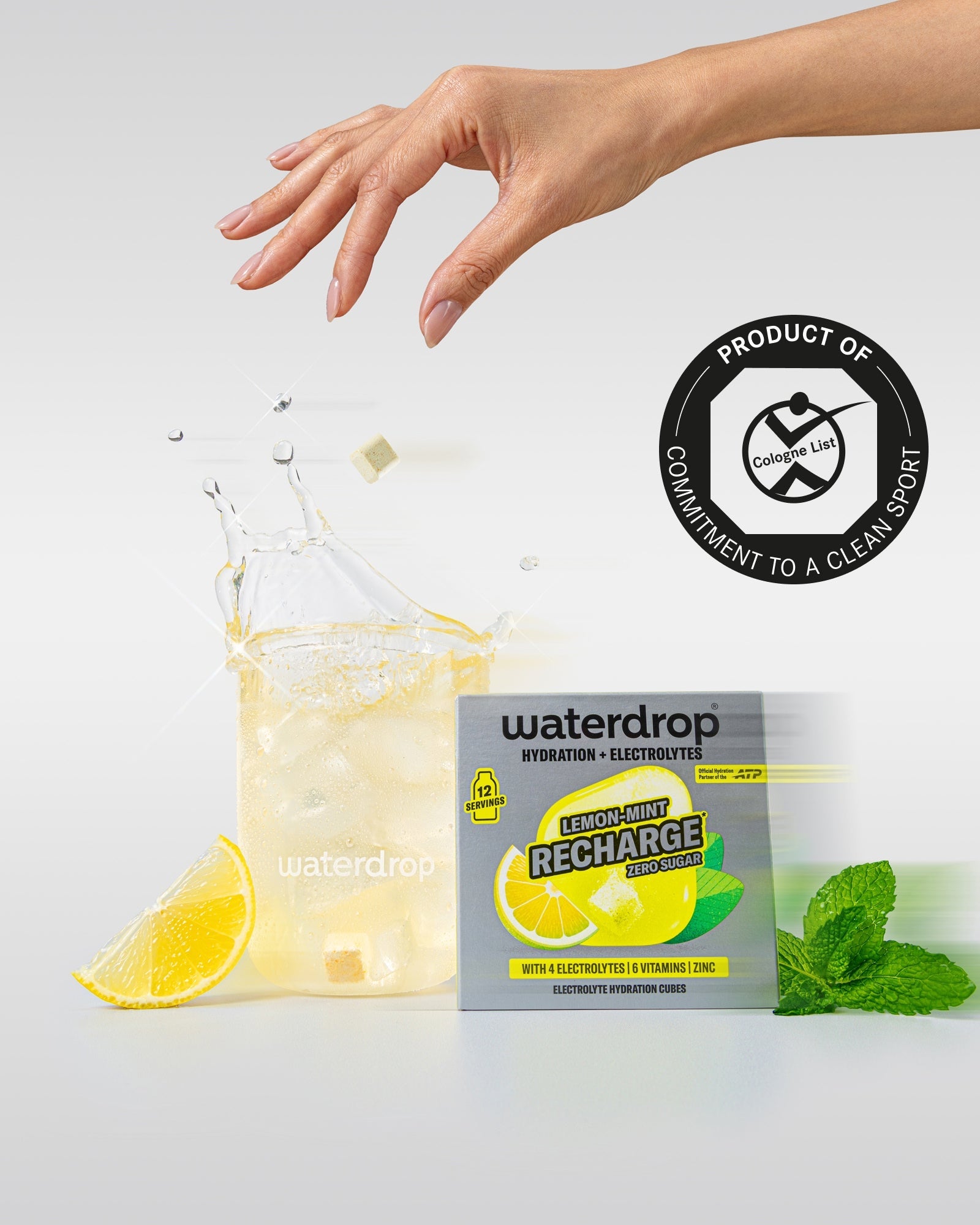 LEMON-MINT RECHARGE 12-Pack: Jetzt bestellen | waterdrop®